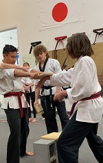 Utah Karate Institute: Featured Students